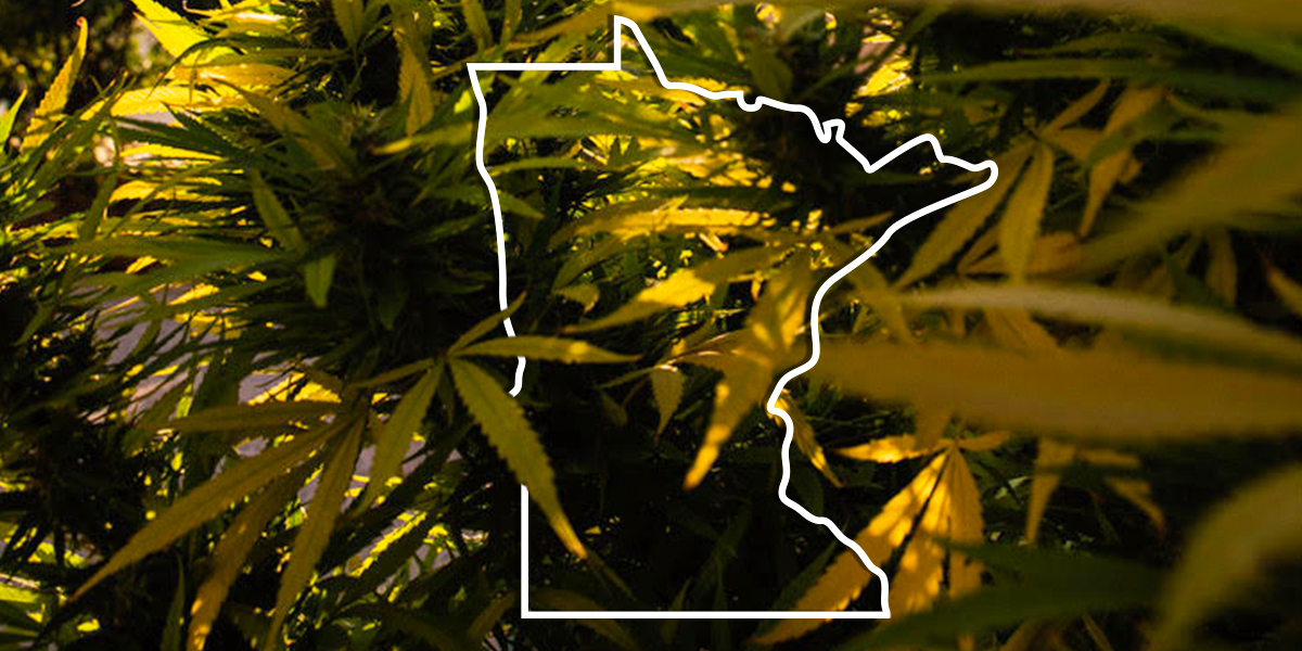 Cannabis Legal in More U.S. States - Boveda® New Official-Site