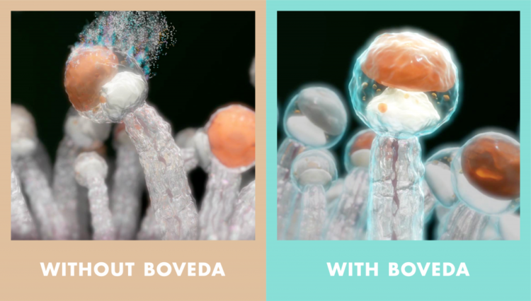 Precise Humidity Control for Cannabis & Hemp - Science of Boveda