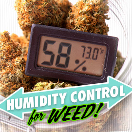 Humidity Control for Weed and How to Store your Stash
