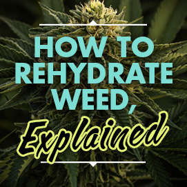 How to Rehydrate Weed, Explained - Boveda® New Official-Site